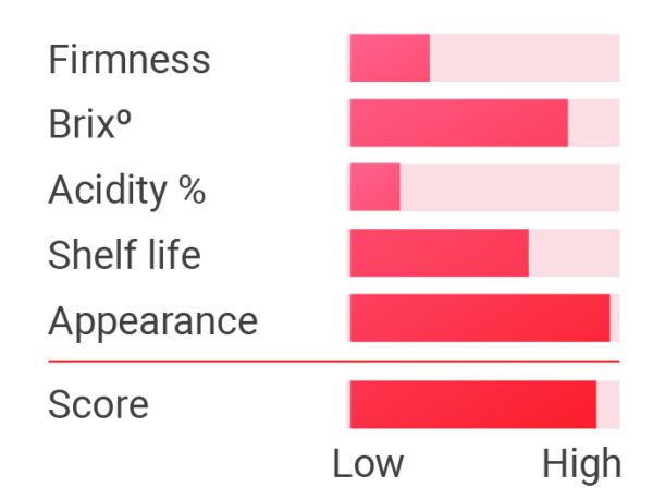 Lagorai raspberries - Inspiring Berries